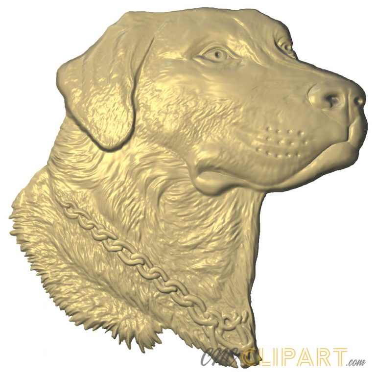 Labrador Retriever Head 3D Relief Model - CNC Clipart